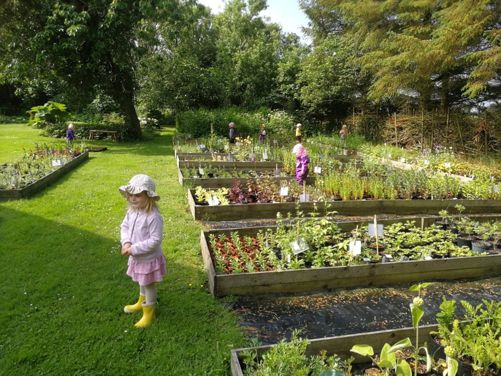 Om os – Thy Til Stauder